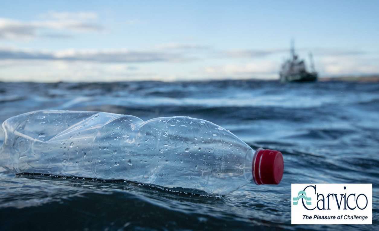 Bee Yoo Swimwear – Beeyooswimwear